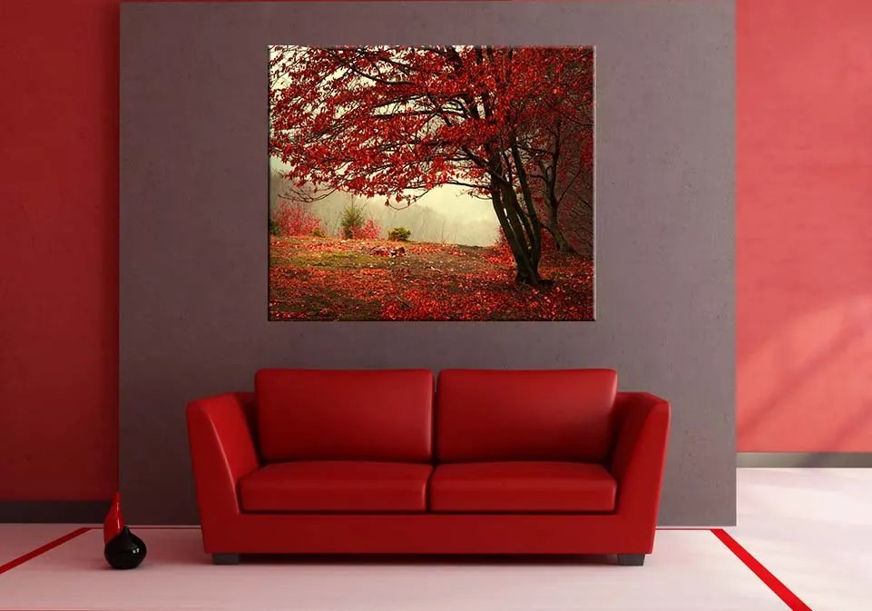 polepzdi.cz obraz na plátně - podzimní les šířka x výška: 50 x 30 cm