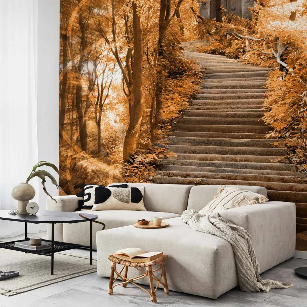 Fototapeta Podzimní fantazie - schody ke bráně podzimních stromů