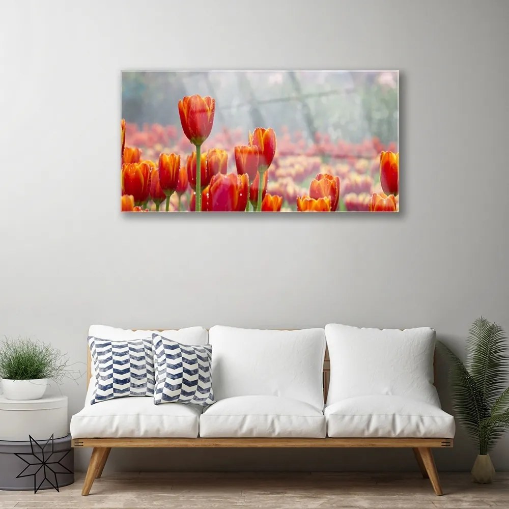 Obraz na skle Tulipány Květiny Rostlina 120x60 cm