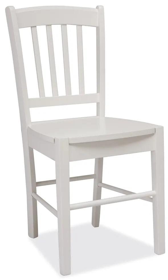 Jídelní židle Penny, bílá