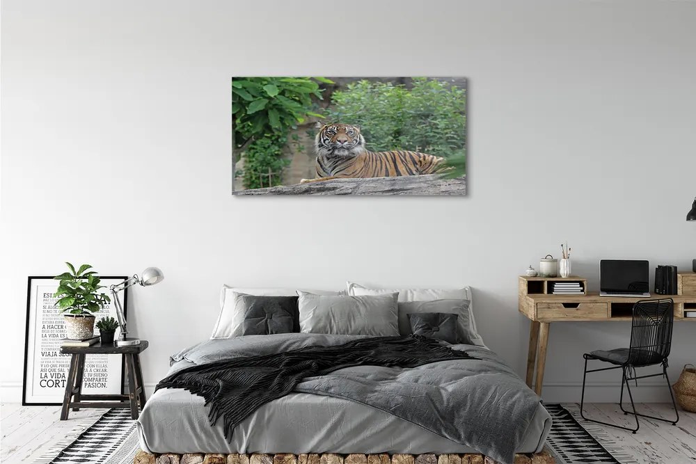 akrylový obraz Tiger Woods 125x50 cm