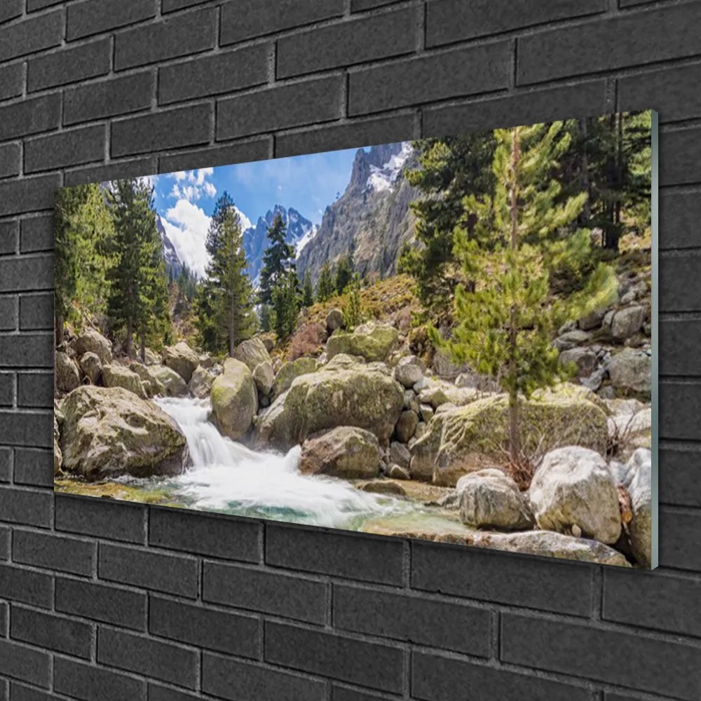 Obraz na skle Hora Les Kameny Řeka 100x50 cm