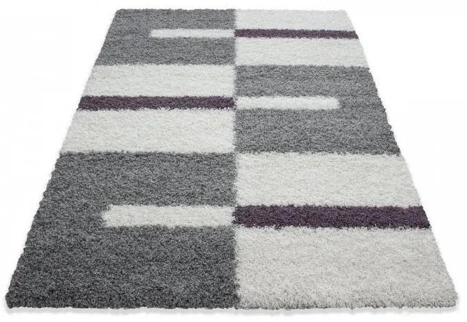 Vopi | Kusový koberec Gala shaggy 2505 lila - 240 x 340 cm