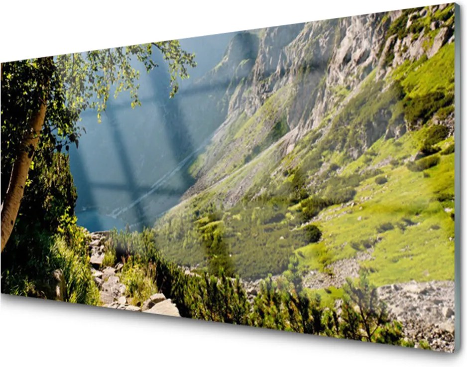 Skleněný obraz Skleněný Hora Les Příroda