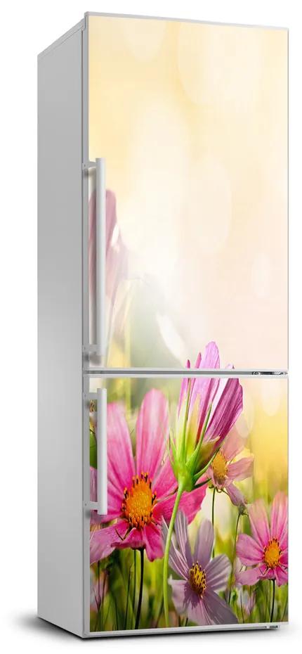 Wallmuralia Foto tapeta na ledničku Polní květiny 60x180 cm
