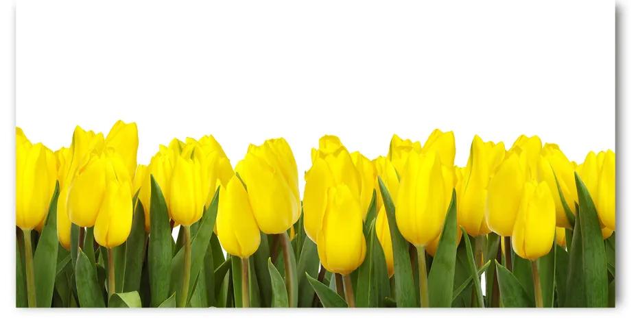 Wallmuralia Foto obraz akrylový do obýváku Žluté tulipány 100x50