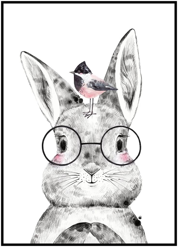 Plakát Zajíček Rozměr plakátu: 30 x 40 cm, Varianta zajíčka: Zajíček oslavenec