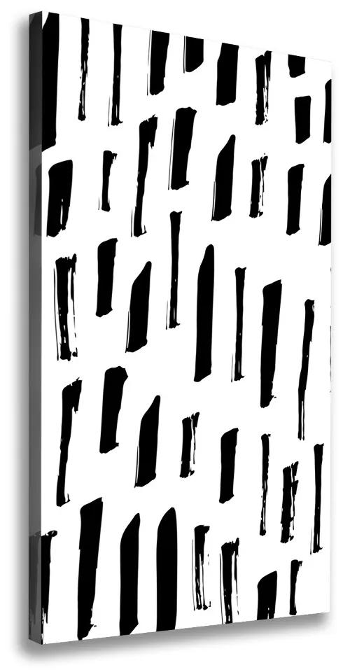 Wallmuralia Vertikální Foto obraz na plátně Černo-bílá fleky 50x100