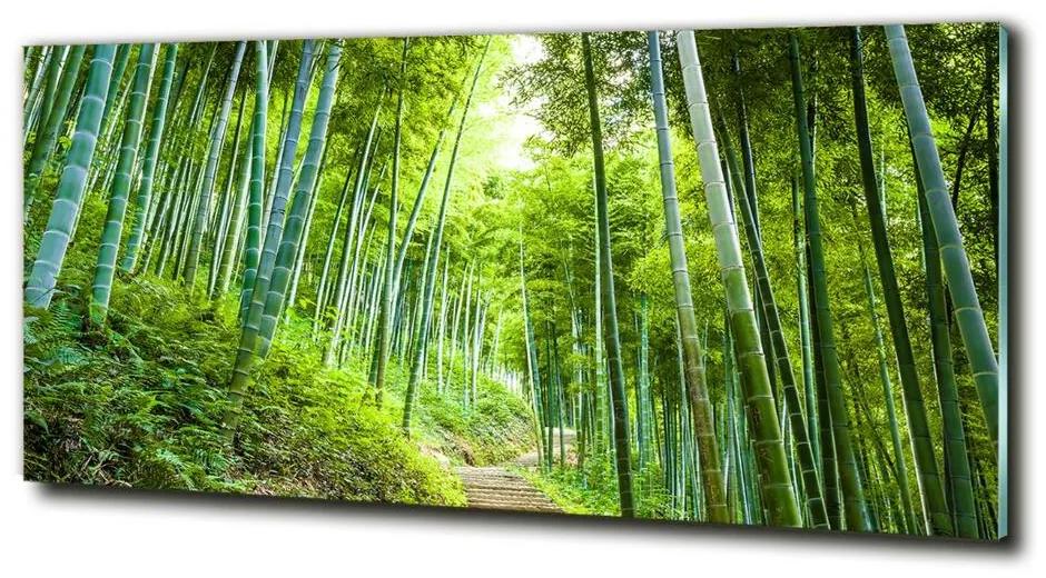 Wallmuralia Foto obraz skleněný horizontální Bambusový les 125x50 cm