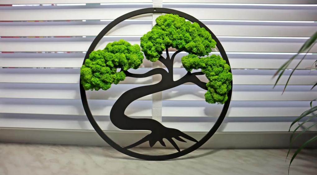 OznTo Nástěnný strom ve tvaru bonsaje více druhů,3velikosti Barva mechu: světle zelený, Barva rámečku: Bílá, Rozměr rámečku: Průměr 50cm