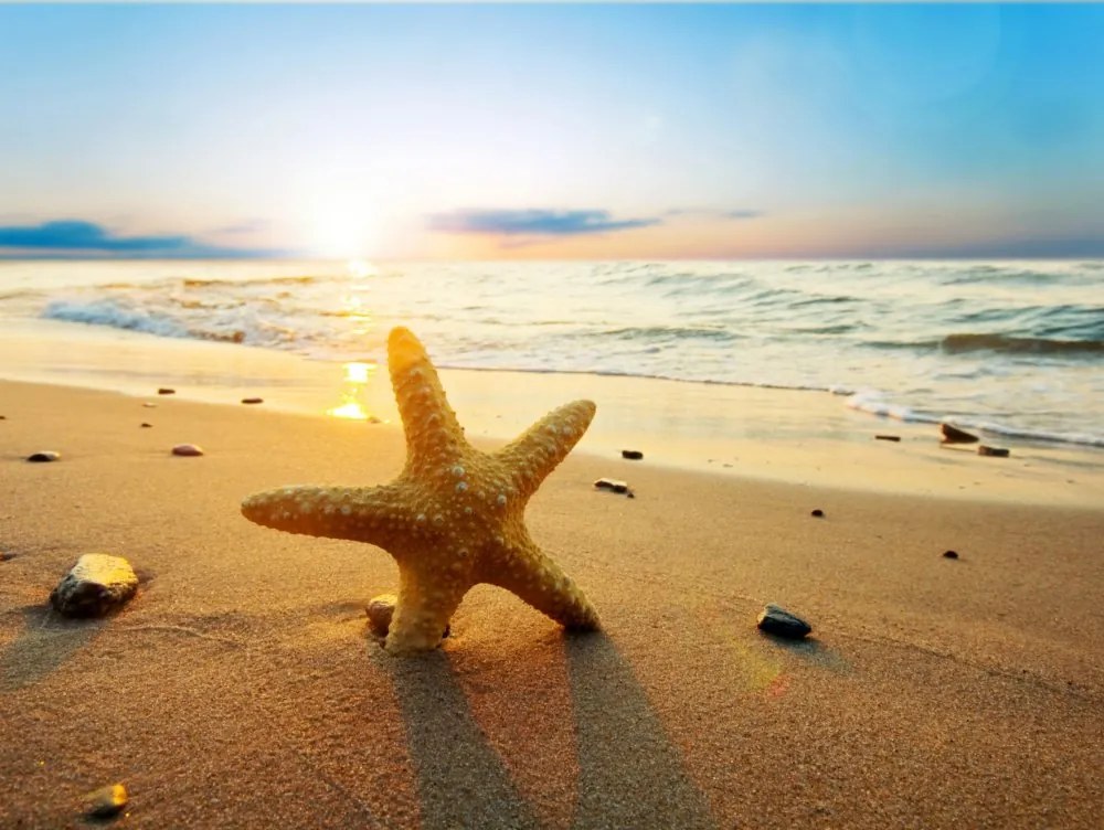 Vícedílný obraz Hvězdice Na Pláži 3D Nedostatek Nedostatek Přírodní plátno 200x150