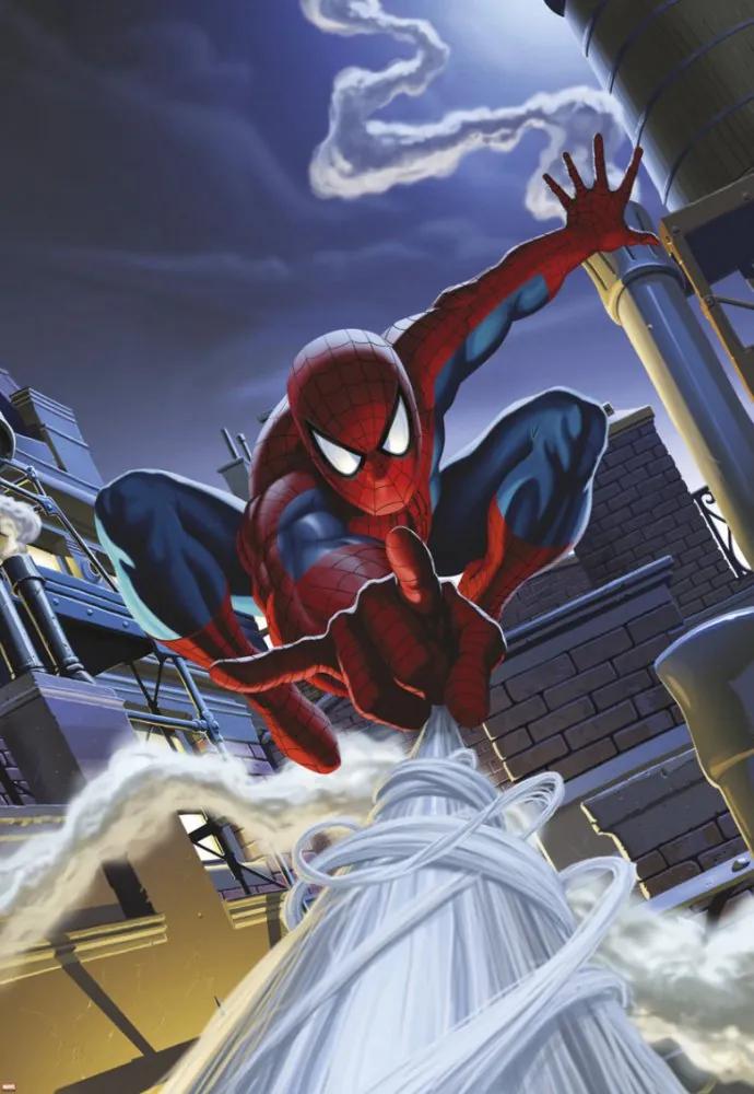 Komar Fototapeta - Komar Spider-Man Rooftop