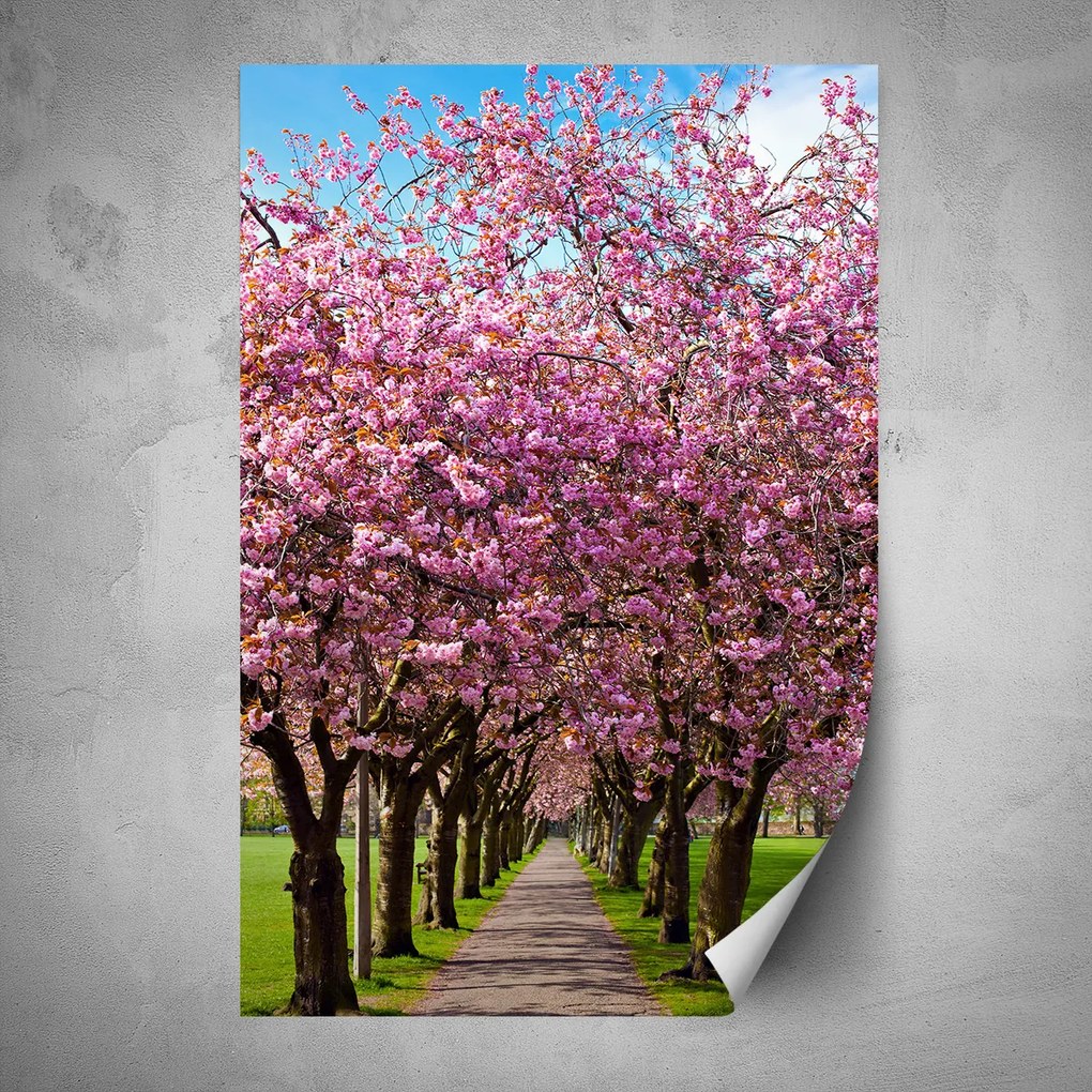 Plakát - Růžová alej stromů (80x120 cm) - PopyDesign