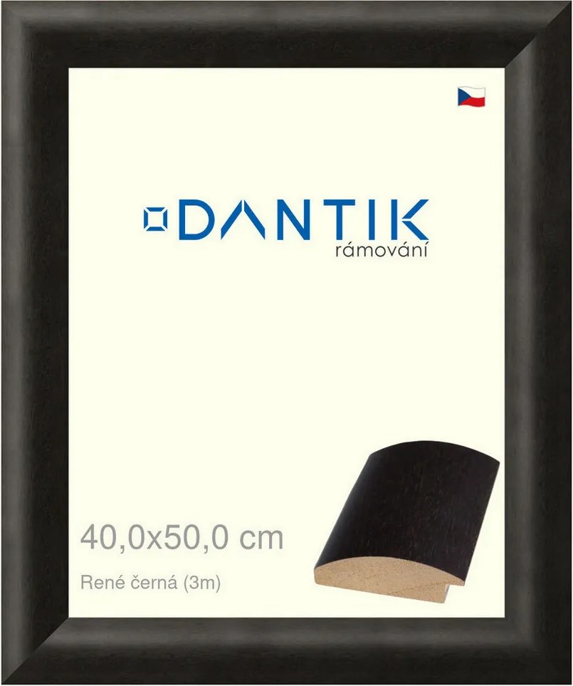 DANTIK rámeček 40x50 | René černá (Plexi Čiré)