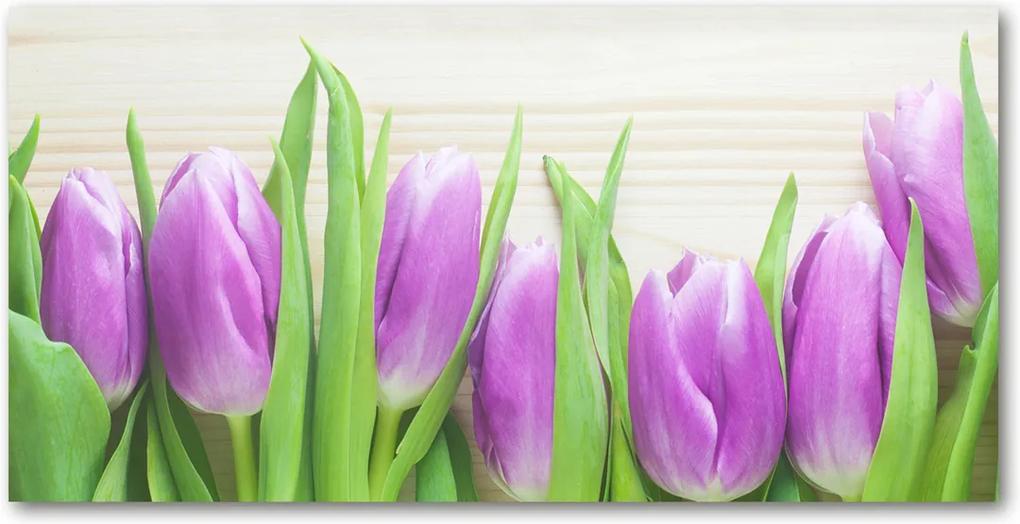 Foto obraz fotografie na skle Fialové tulipány