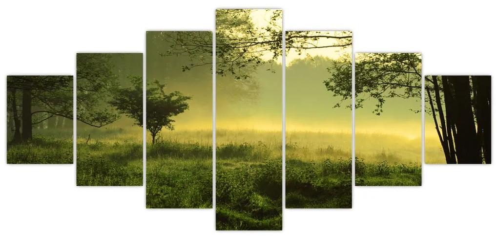 Obraz - Probouzející se les (210x100 cm)
