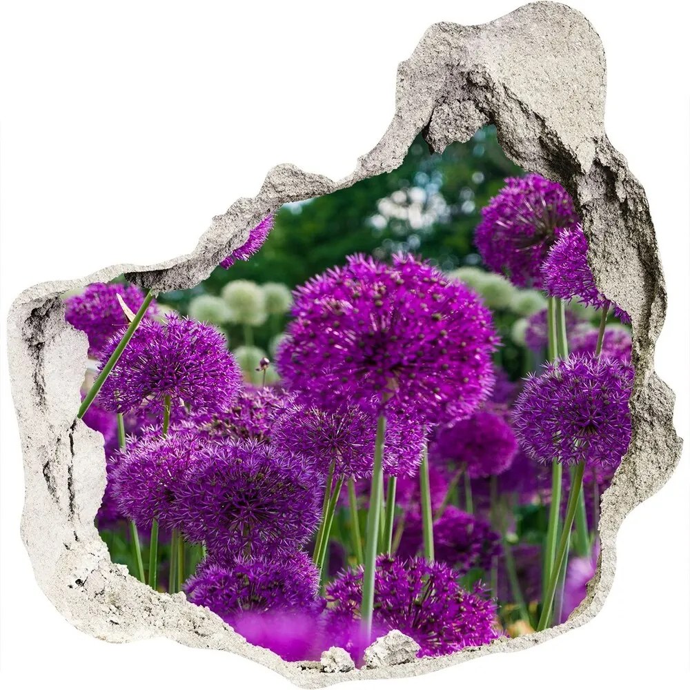 Wallmuralia Nálepka 3D díra samolepící Květy česneku 75x75 cm