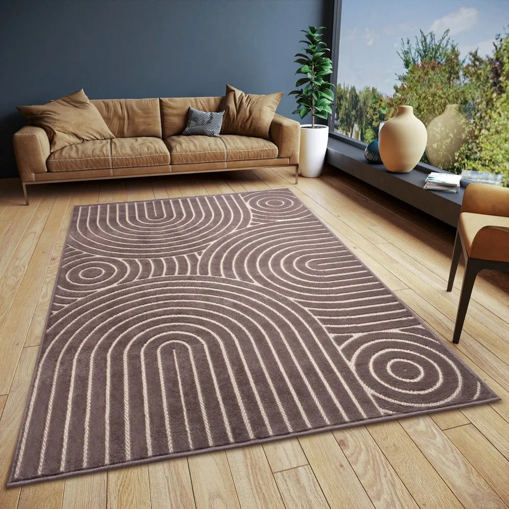Hnědý koberec 160x235 cm Iconic Wave – Hanse Home