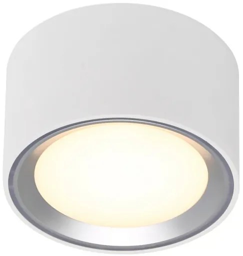Nordlux - LED Stmívatelné stropní svítidlo FALLON LED/5,5W/230V