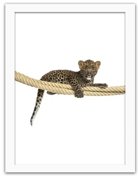 MISDA Obraz v rámu leopard