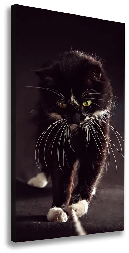 Wallmuralia Foto obraz na plátně do obýváku Černá kočka 50x100 cm