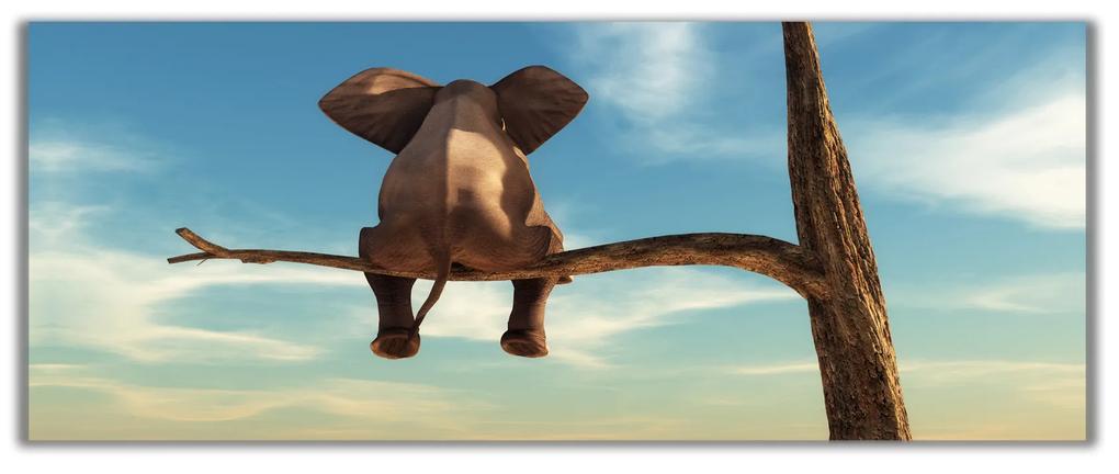 Malvis ® Zábavný slon Velikost (šířka x výška): třídílný obdélník - 150x100 cm