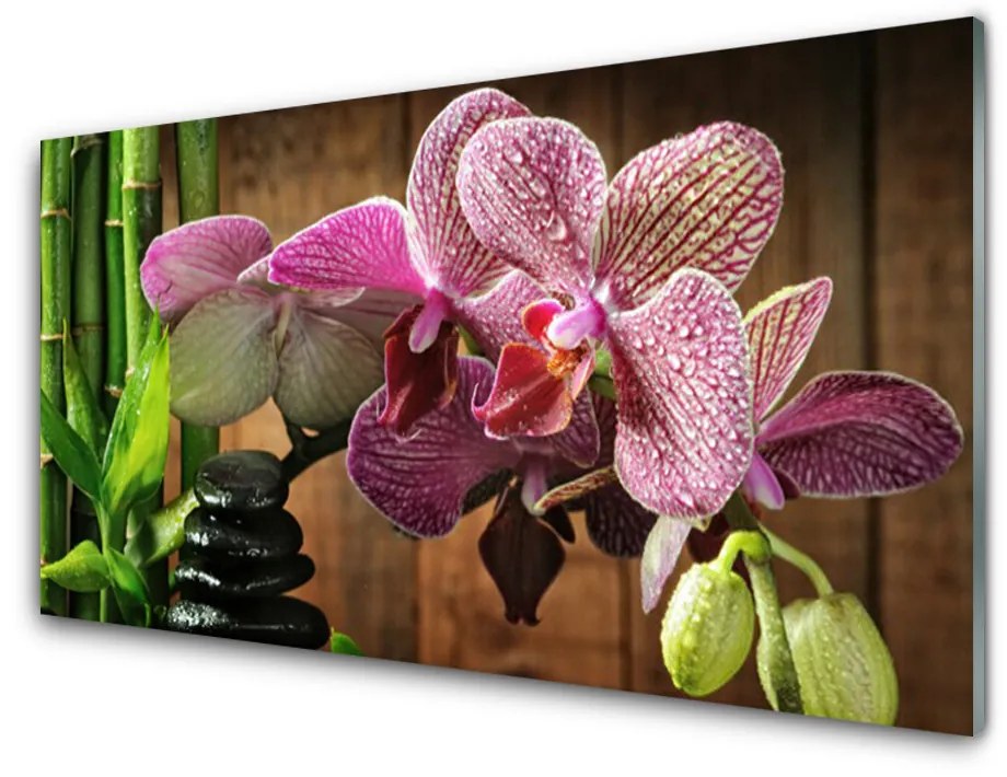 akrylový obraz Kvetiny Bambus Rostlina 100x50 cm