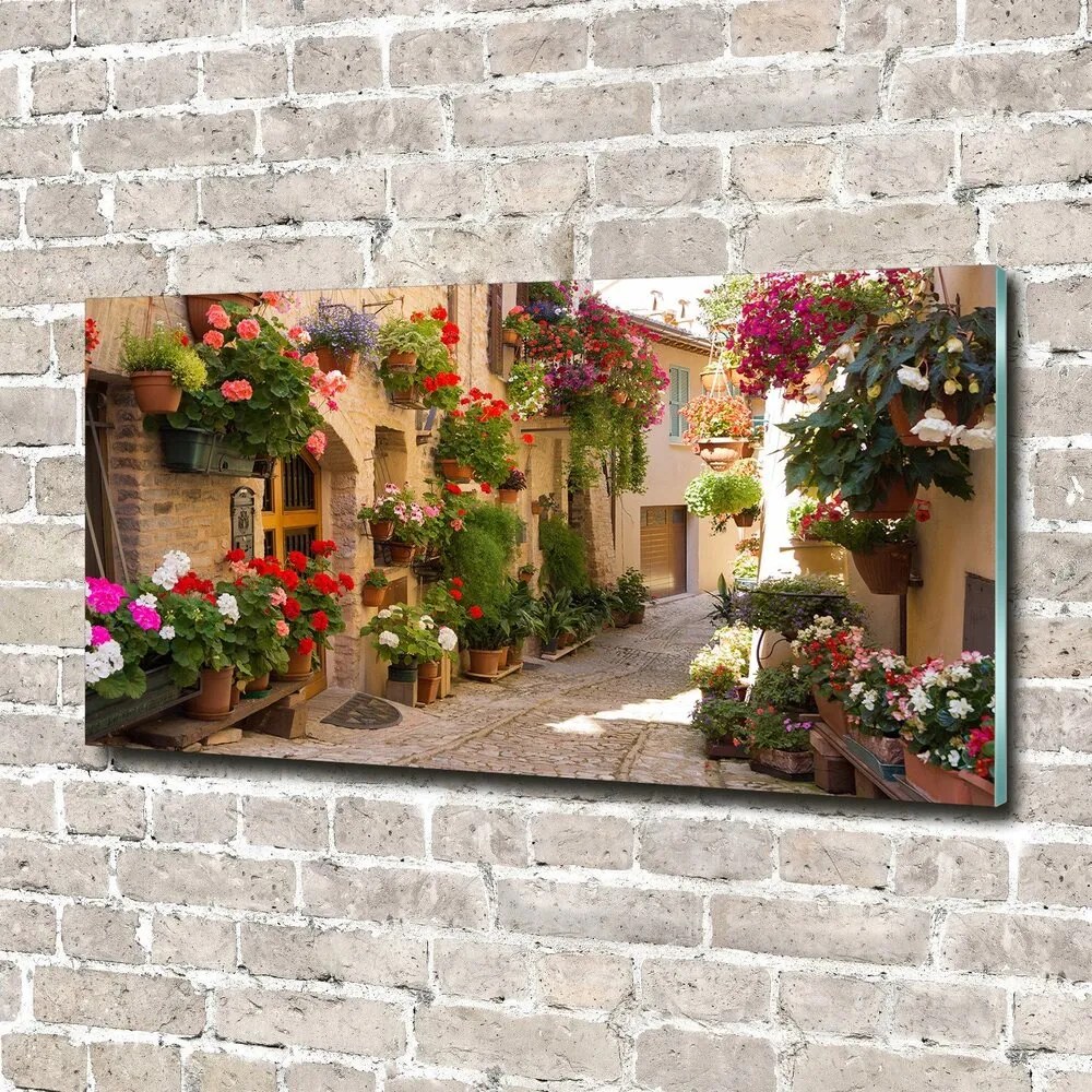 Wallmuralia Fotoobraz na skle Okouzlující ulička 140x70 cm
