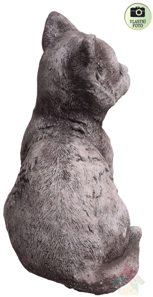 Kotě z betonu Mates