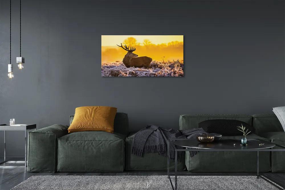 Obrazy na plátně Jelen zimní slunce 140x70 cm