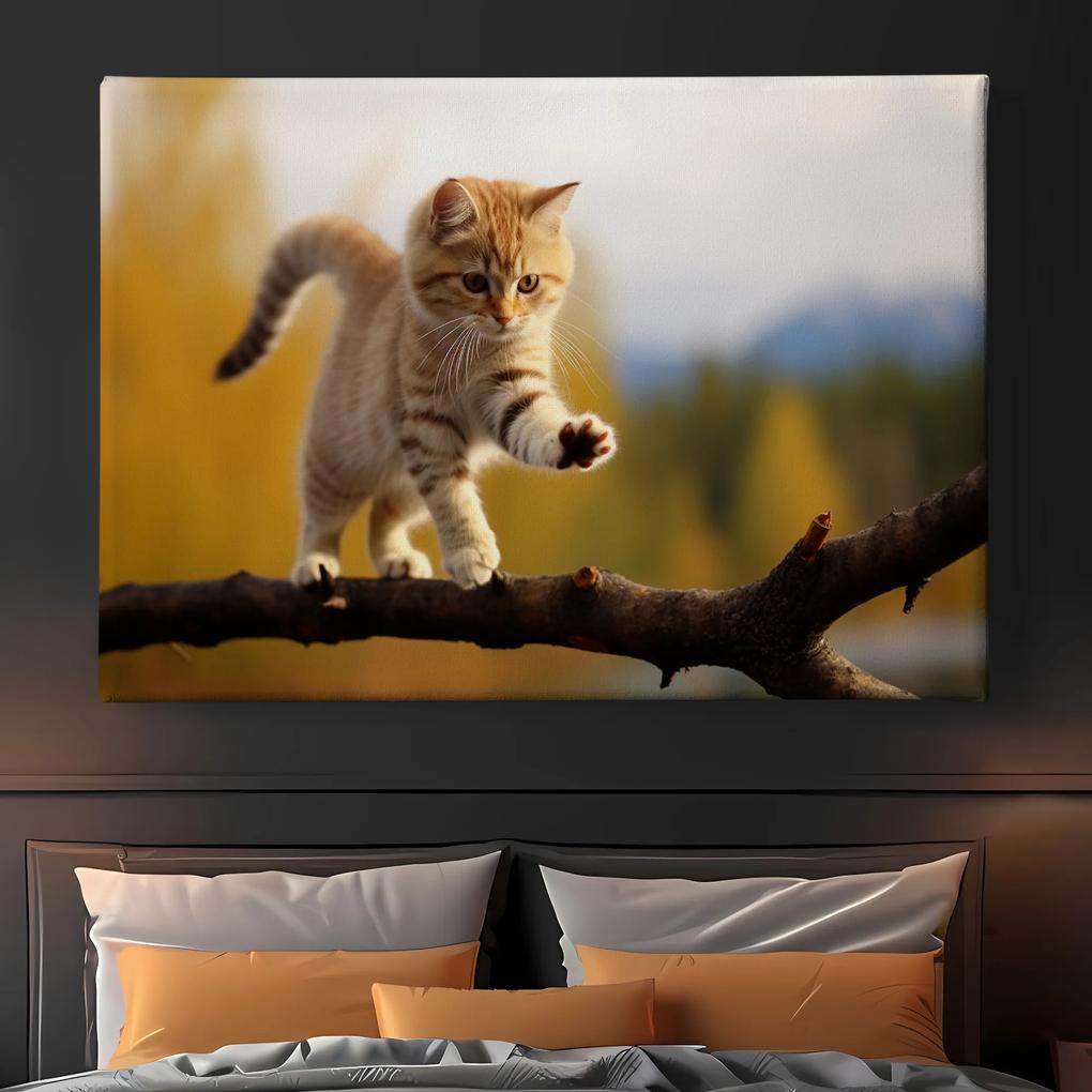 Obraz na plátně - Mladá kočka balancuje na hraně FeelHappy.cz Velikost obrazu: 150 x 100 cm