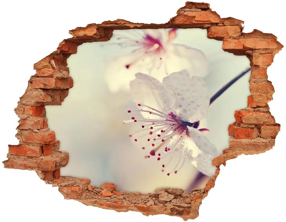 Wallmuralia Samolepící nálepka na zeď Květ višně 90x70 cm