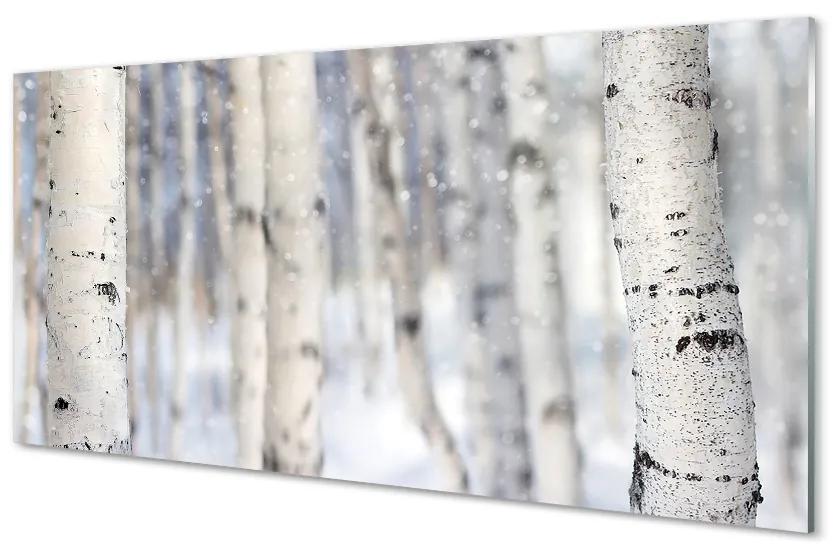 akrylový obraz Stromy v zimě sníh 125x50 cm