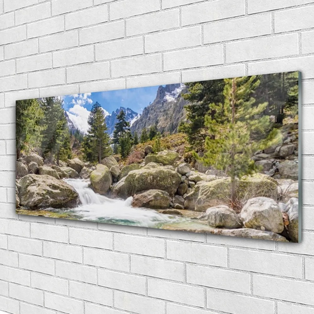 akrylový obraz Hora Les Kameny Řeka 125x50 cm