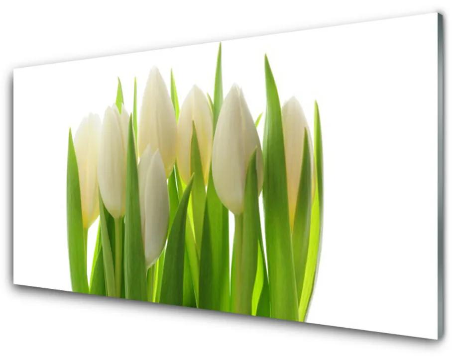 Obraz na skle Tulipány Rostlina Příroda 125x50 cm