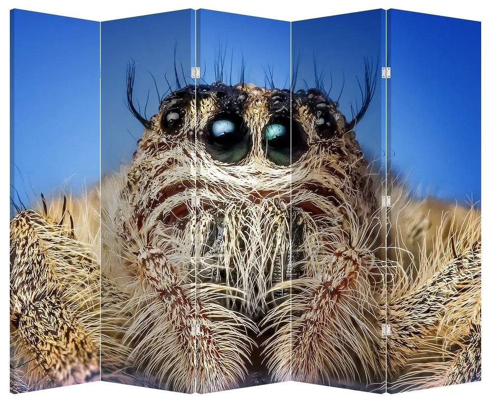 Paraván - Detail pavouka (210x170 cm)