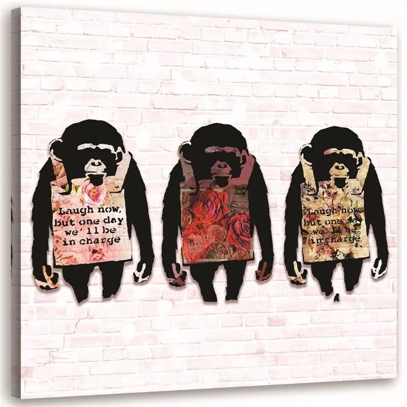 Obraz na plátně Banksy Monkey Barevné - 60x60 cm