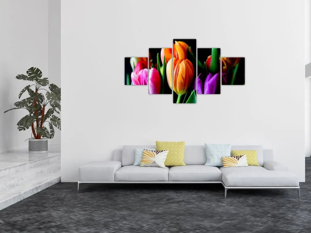 Obraz tulipánů na černém pozadí (125x70 cm)