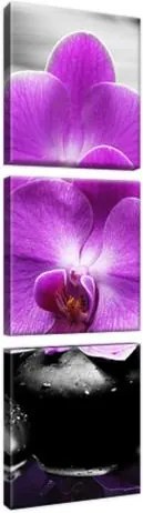 Tištěný obraz Fialová orchidej 30x90cm 1379A_3V
