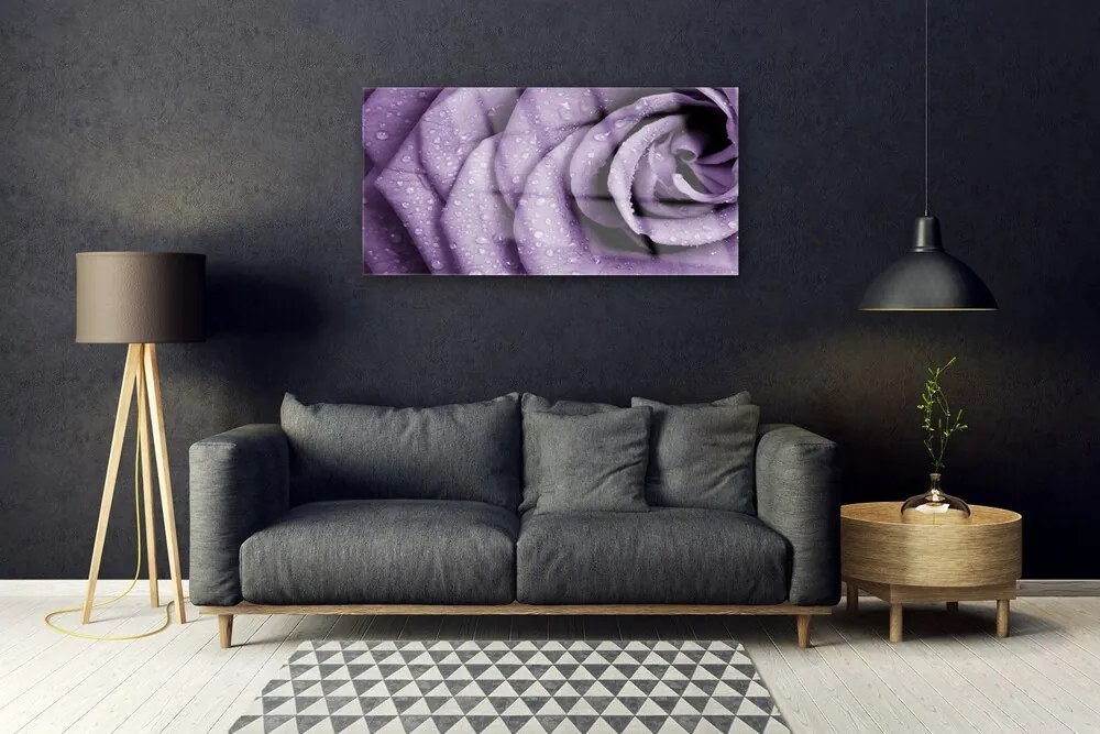 Plexisklo-obraz Růže Květ Rostlina 100x50 cm