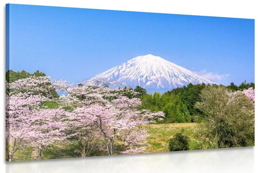 Obraz sopka Fuji Varianta: 120x80
