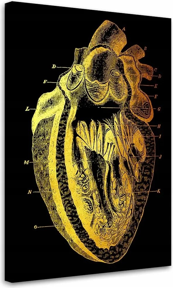 Obraz na plátně, Srdce 40x60