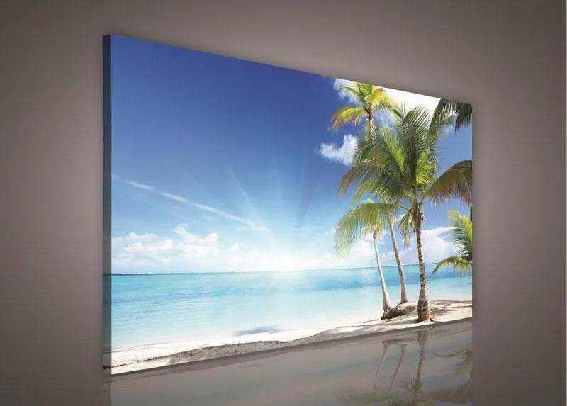 Obraz na plátně palmy na pláži 100 x 75 cm