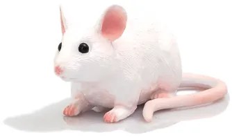 Mojo Myš