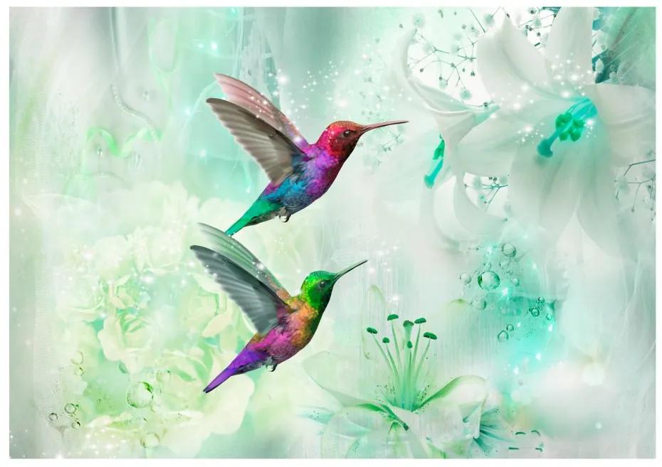 Fototapeta - Barevní kolibříci (zelení) 200x140 + zdarma lepidlo