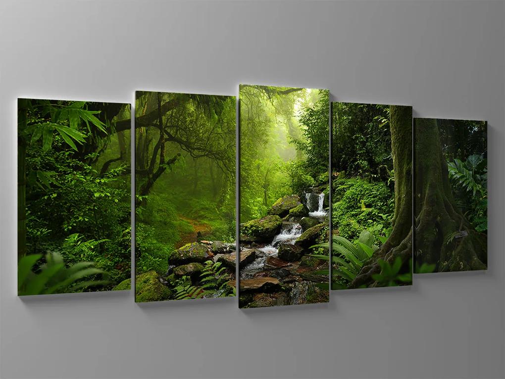 Liox Obraz deštný prales Rozměr: 200 x 90 cm