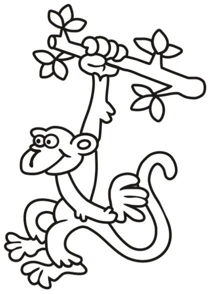 Samolepka na zeď Opice na větvi, nálepka na stěnu (11916)