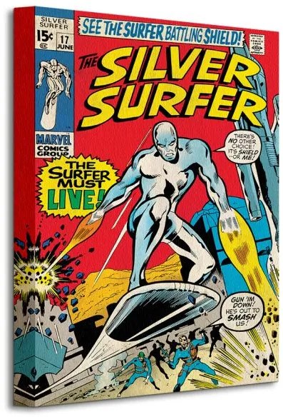Obraz na plátně Marvel Silver Surfer (Must Live) 30x40cm WDC92204