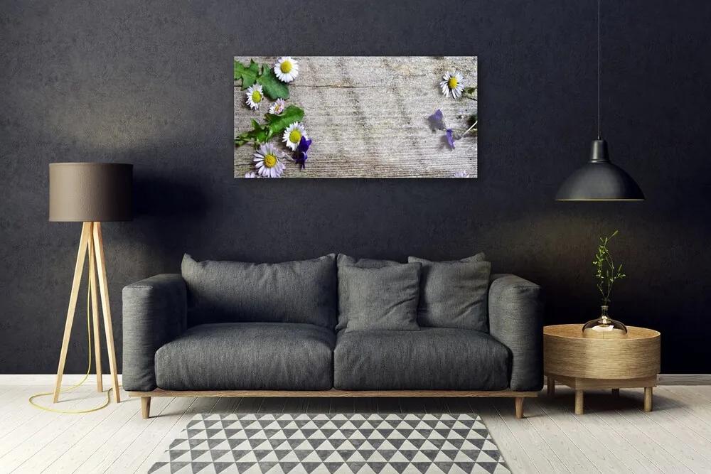 Obraz na skle Sedmikráska Rostlina Příroda 120x60 cm