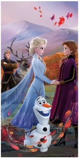 Jerry Fabrics Disney povlečení do postýlky Frozen 2 Wind baby 100x135, 40x60 cm